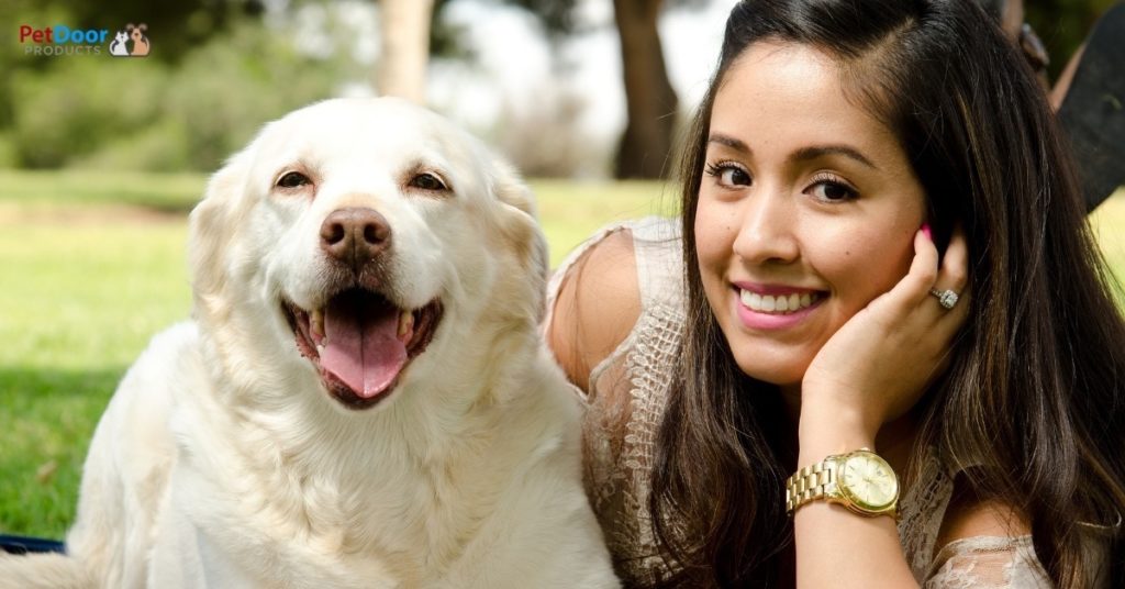 Which Type of Pet Matches Your Personality Best?