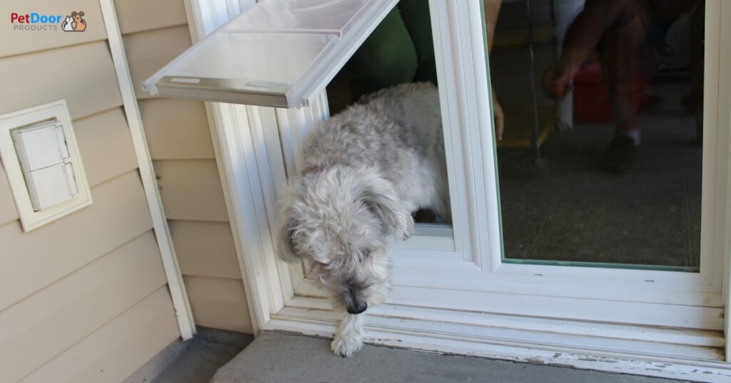 Secure Your Pet: Fall Safety with Sliding Glass Pet Doors in Utah