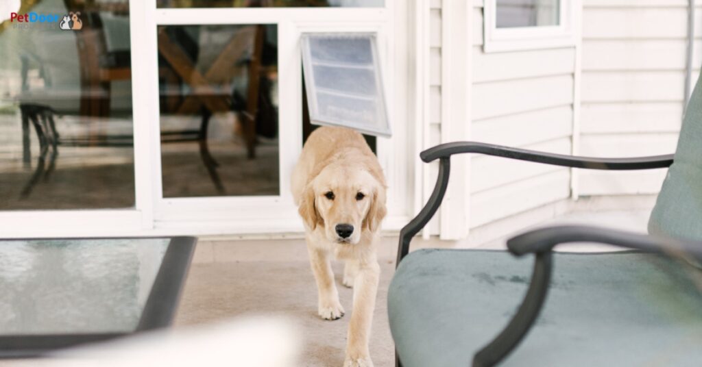 Best Fall Upgrade: Sliding Door with Doggie Door in Utah