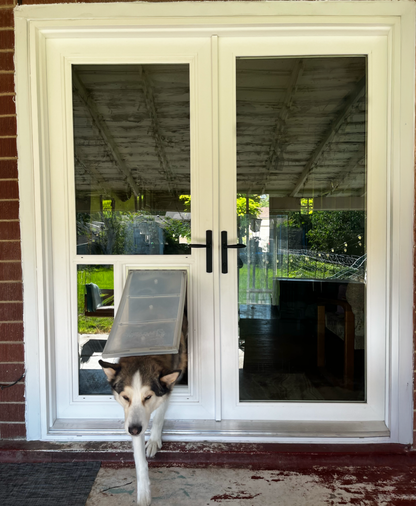 French Doors with Built-In Dog Door | Custom & Secure